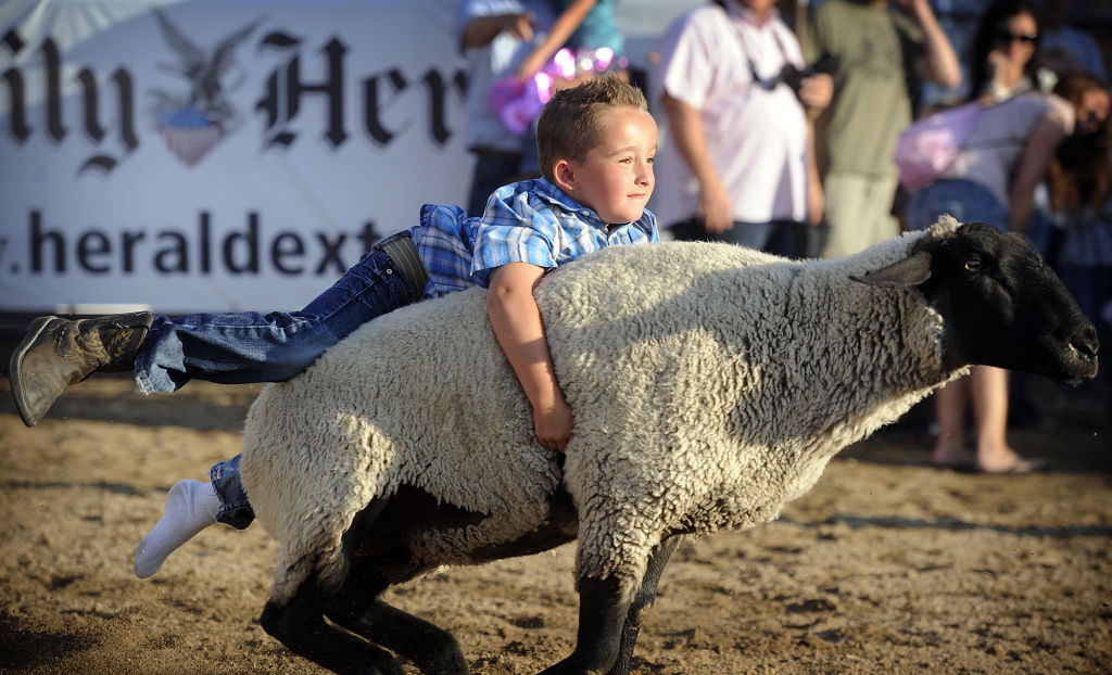 The Wild West rides again | News, Sports, Jobs - Daily Herald